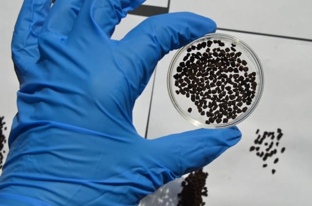 CARULITE 300 - Ozone Destruction Catalyst | Carus