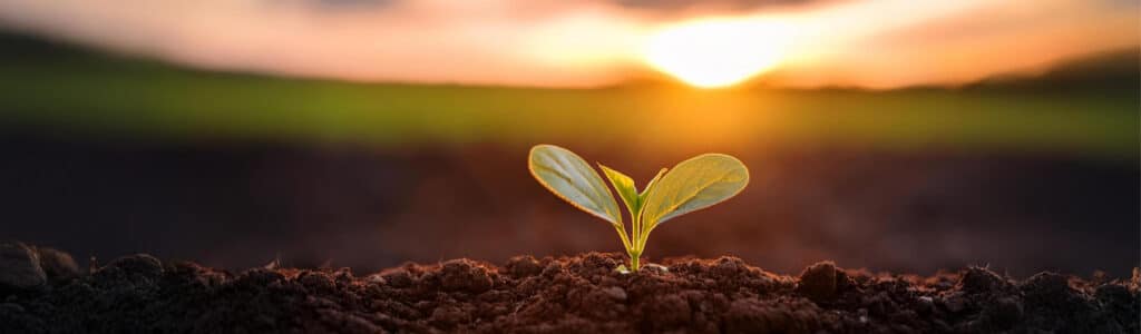 Upcoming Webinar: ISCO 101 - A Powerful Solution for Soil & Groundwater ...