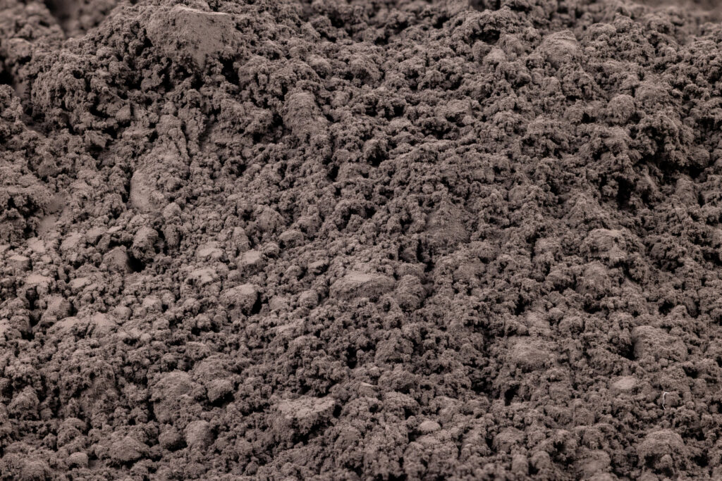 CARULITE 400 - Multipurpose Gas Purification | Carus